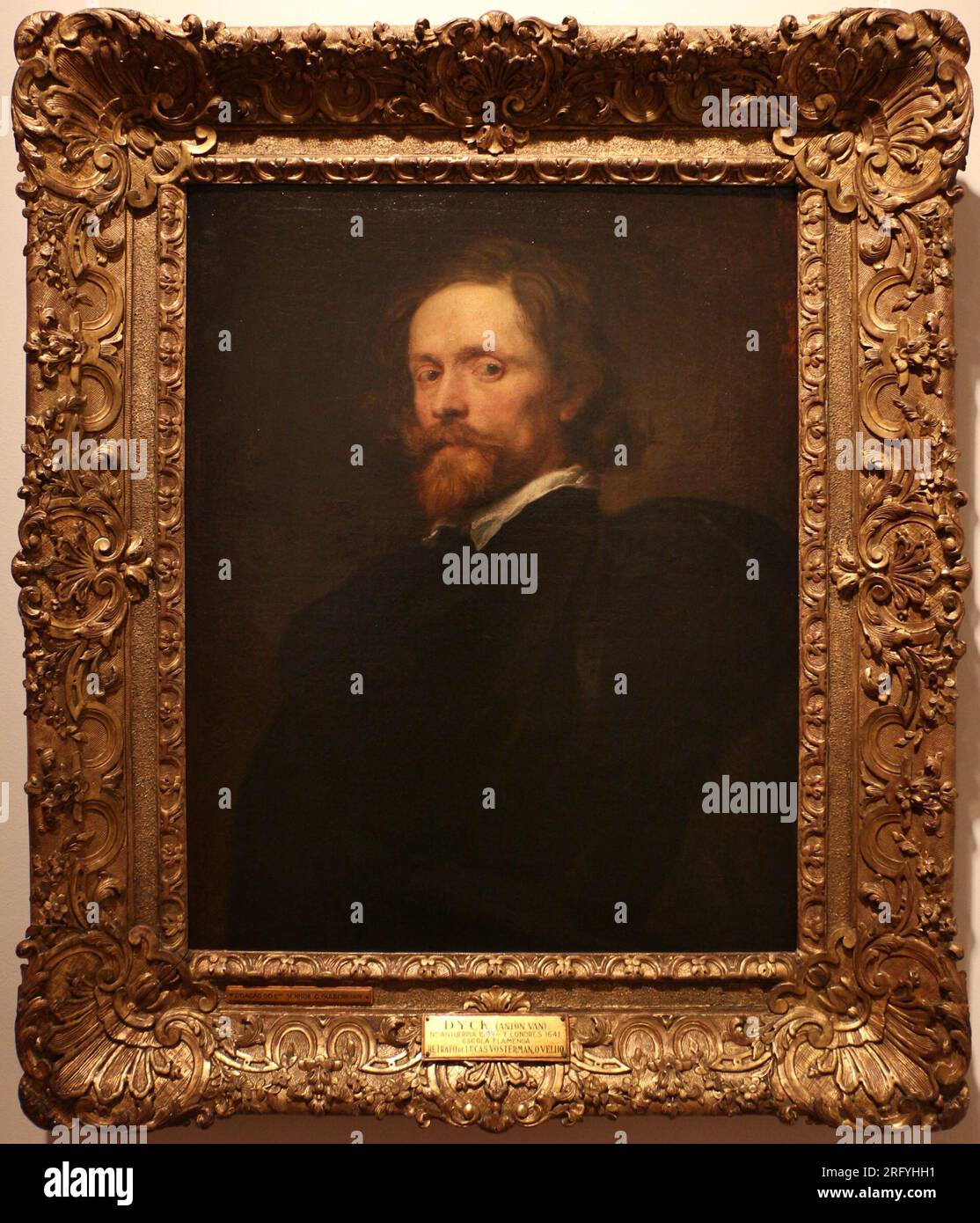 Portrait of Lucas Vorsterman circa 1630 by Anthony van Dyck Stock Photo ...