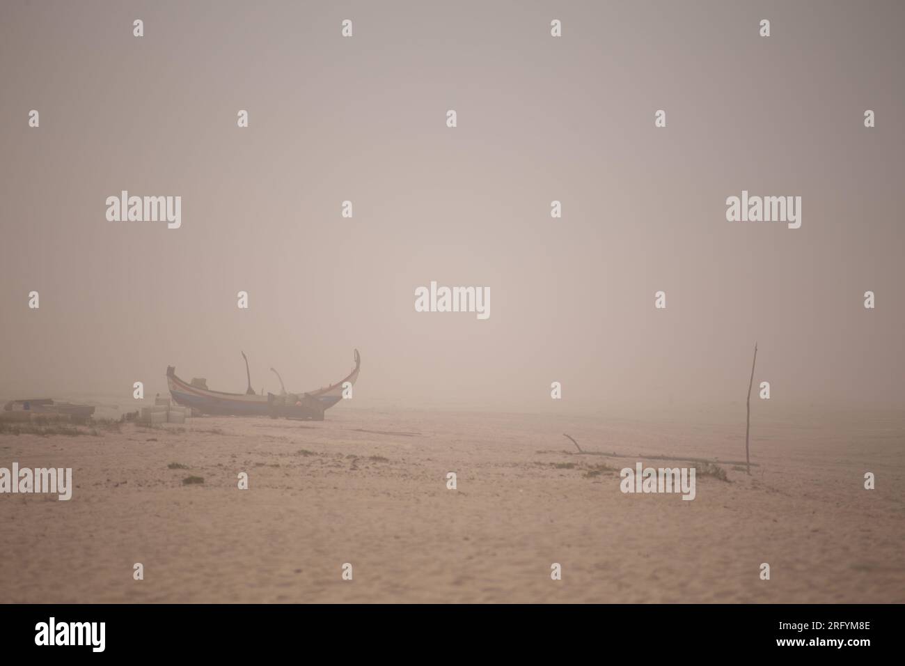 Amidst the untamed beauty of windswept dunes, nature's fierce tempest ...