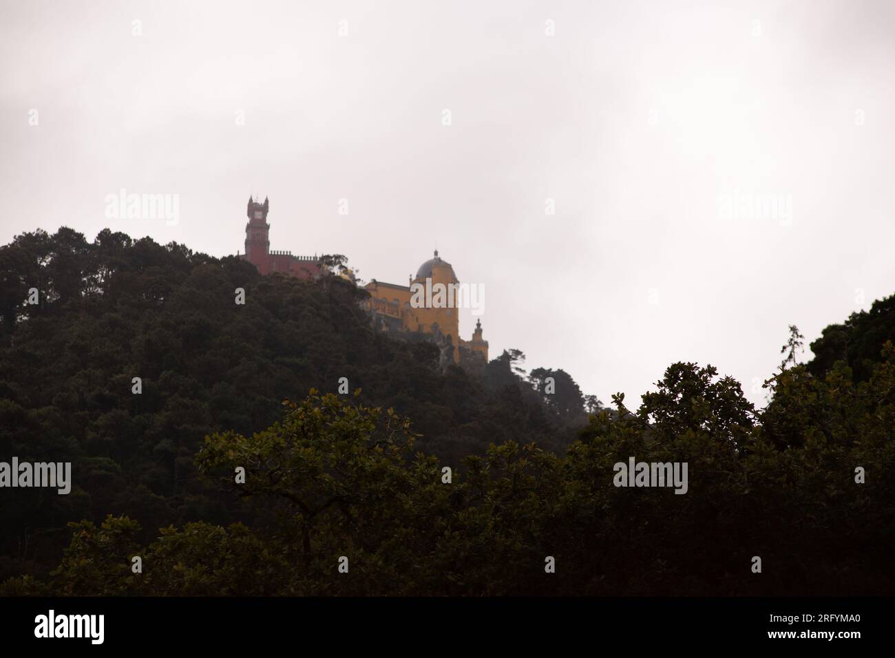 Journey through time and nature's grandeur: Discover the captivating ...