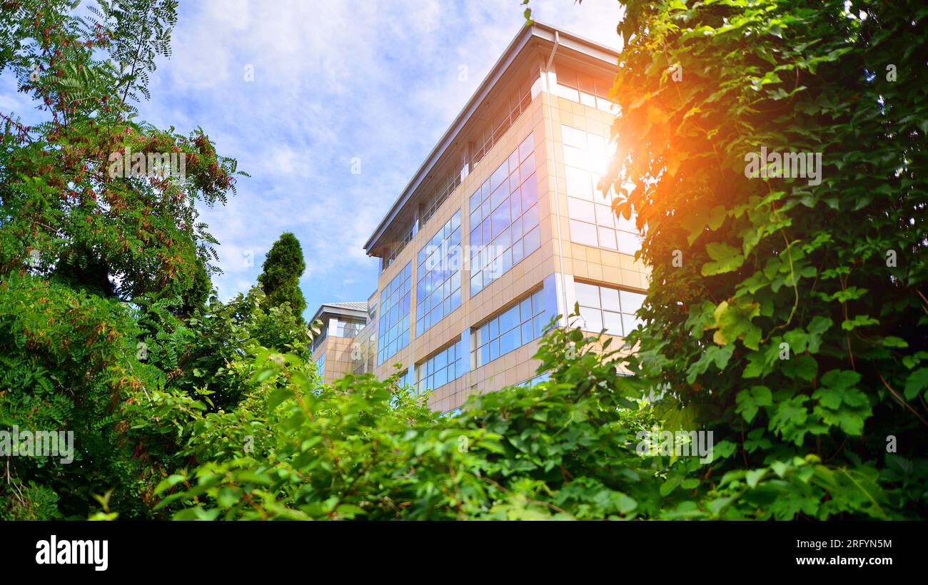 Eco building in modern city concept. Fresh green trees and office ...