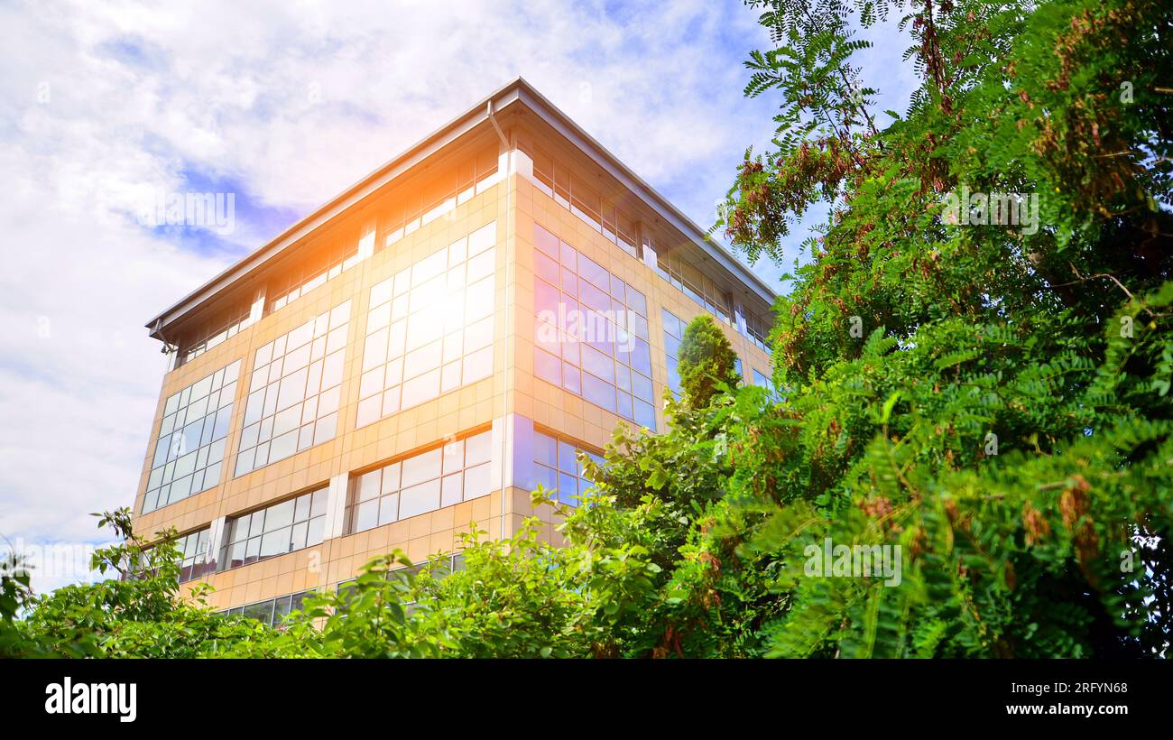 Eco building in modern city concept. Fresh green trees and office ...