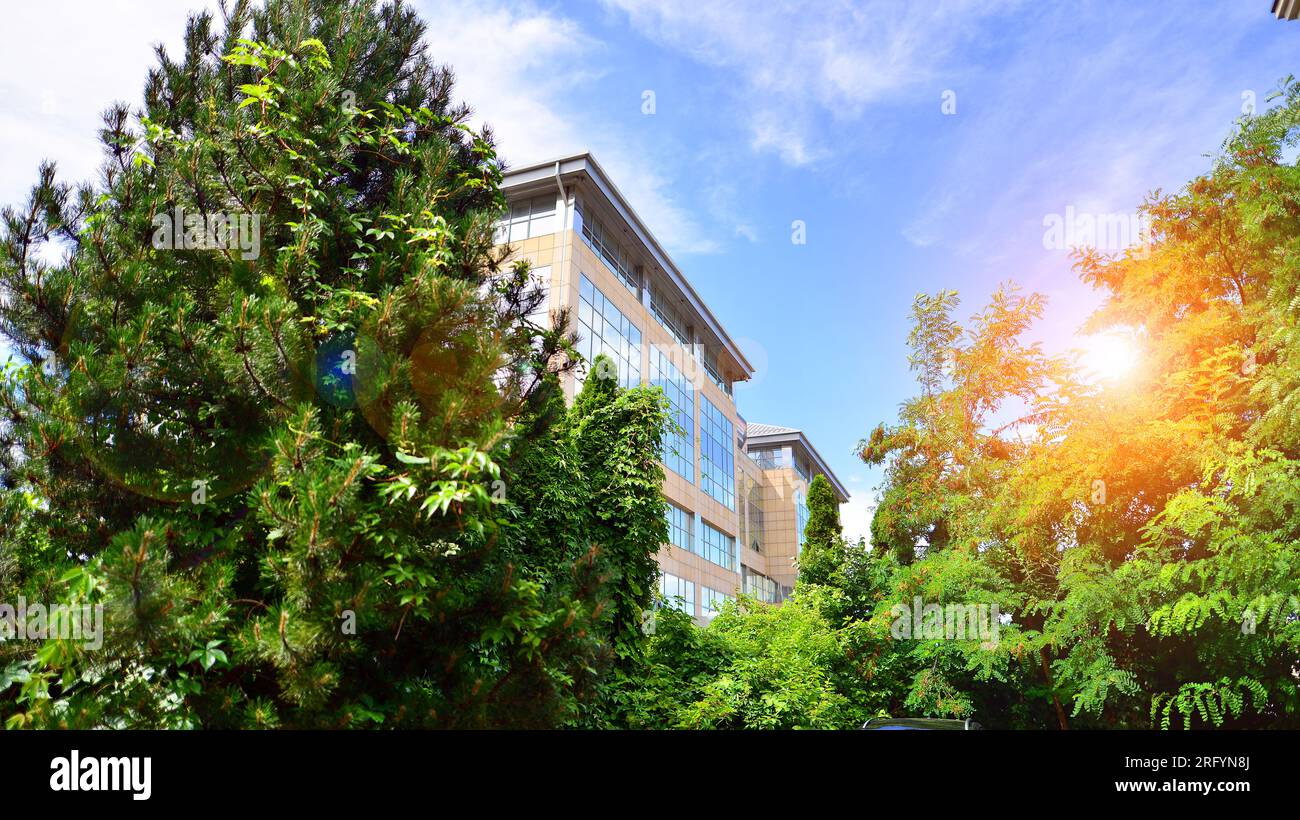 Eco building in modern city concept. Fresh green trees and office ...