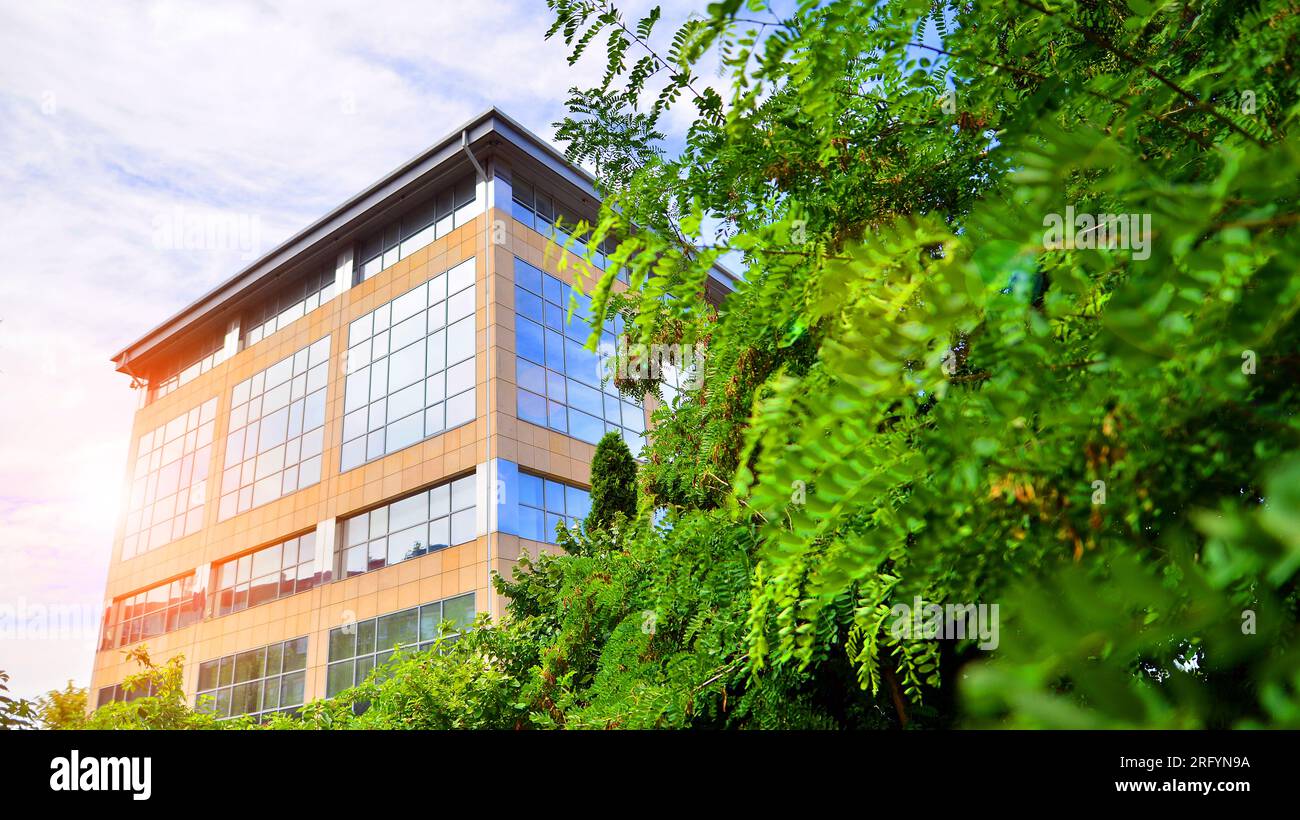 Eco building in modern city concept. Fresh green trees and office ...