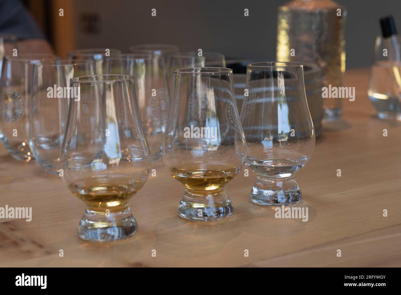 Nosing Glasses with Drams of Whisky and a Sample of Raasay Gin Ready ...