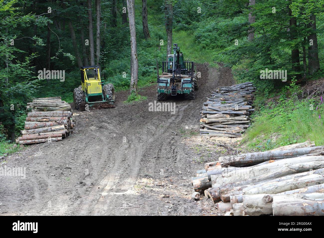 Forestry machinery for felling trees and hauling timber in a yard in ...