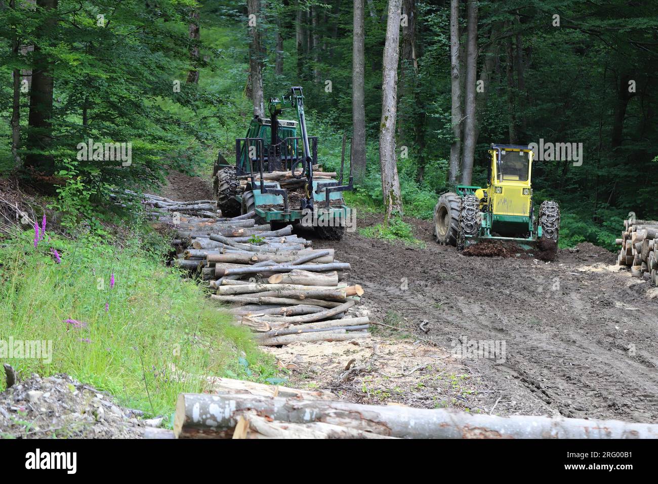 Forestry machinery for felling trees and hauling timber in a yard in ...