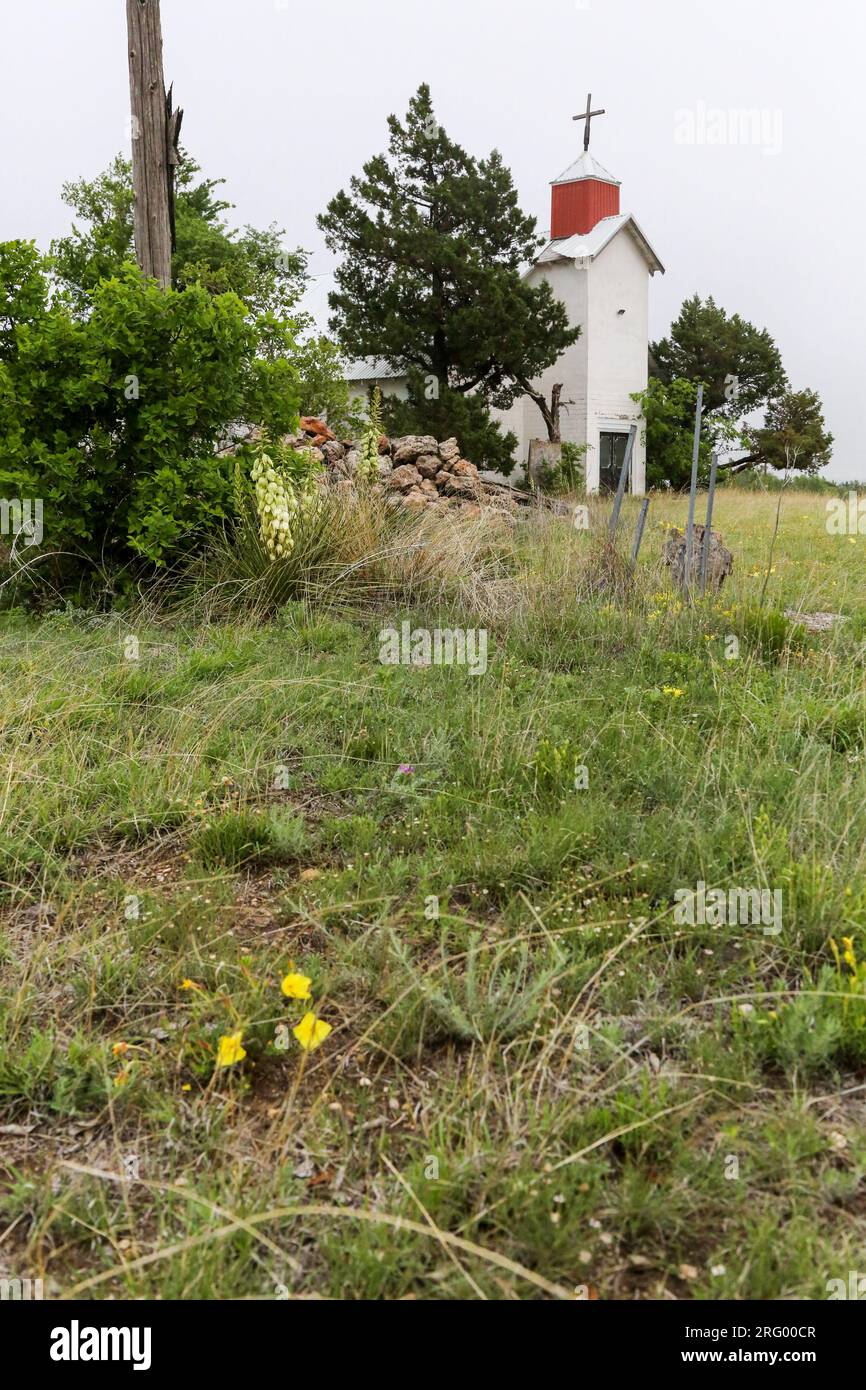 Alanreed hi-res stock photography and images - Alamy