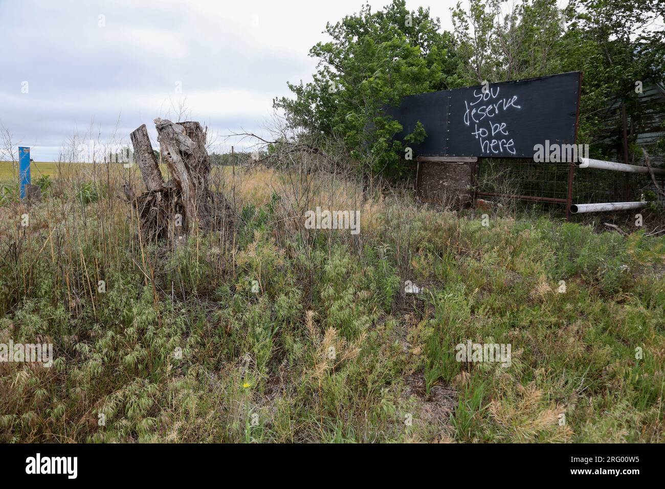 Oklahoma tree stump hi-res stock photography and images - Alamy