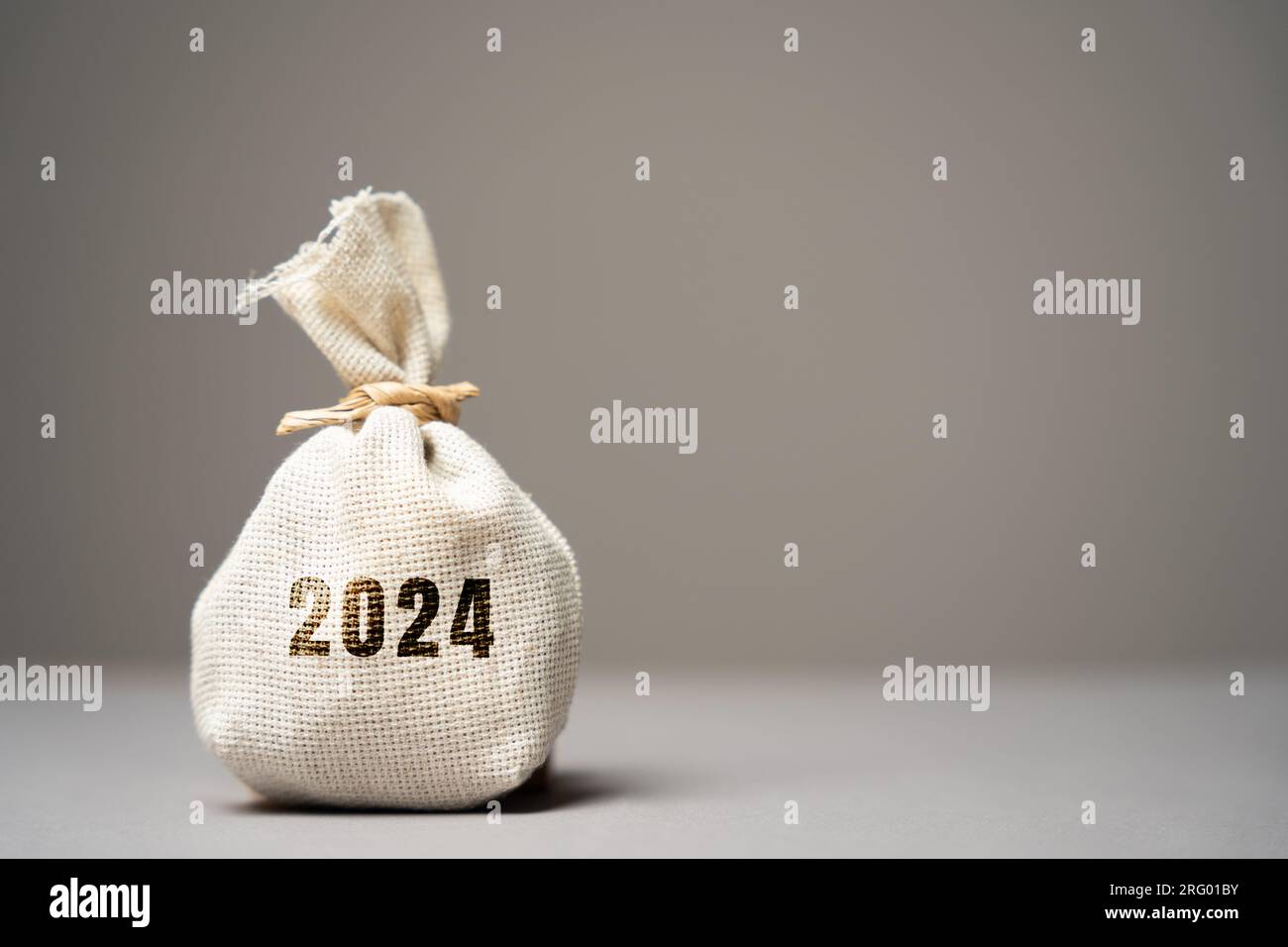 Money bag 2024. Budget planning concept. Business economic. Goals and ...