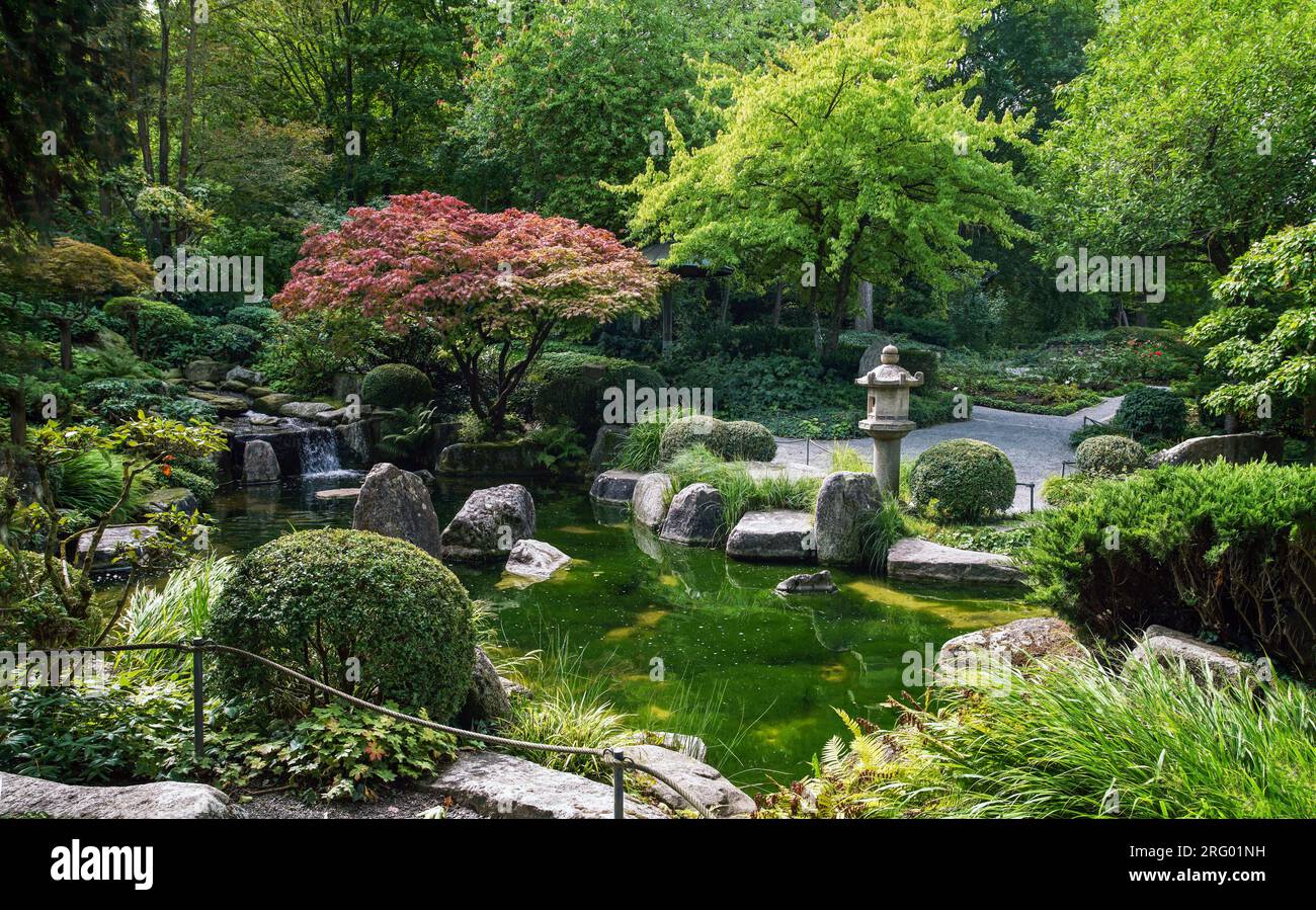 Japanese Garden Stone Creek Upcoming | Stone Creek Zen Center