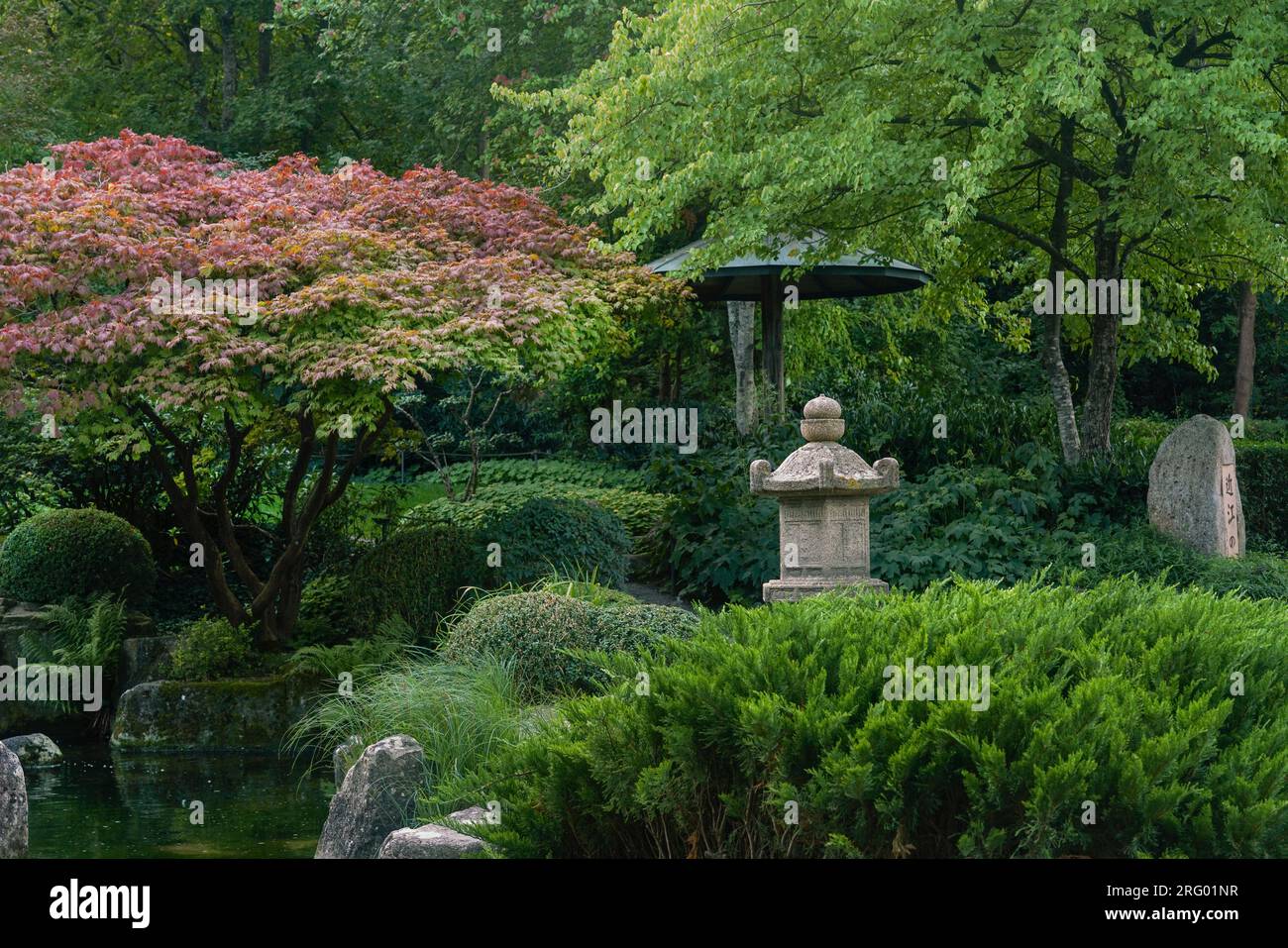 Awe japanese garden in Wurzburg stone lantern, japanese maple (red ...