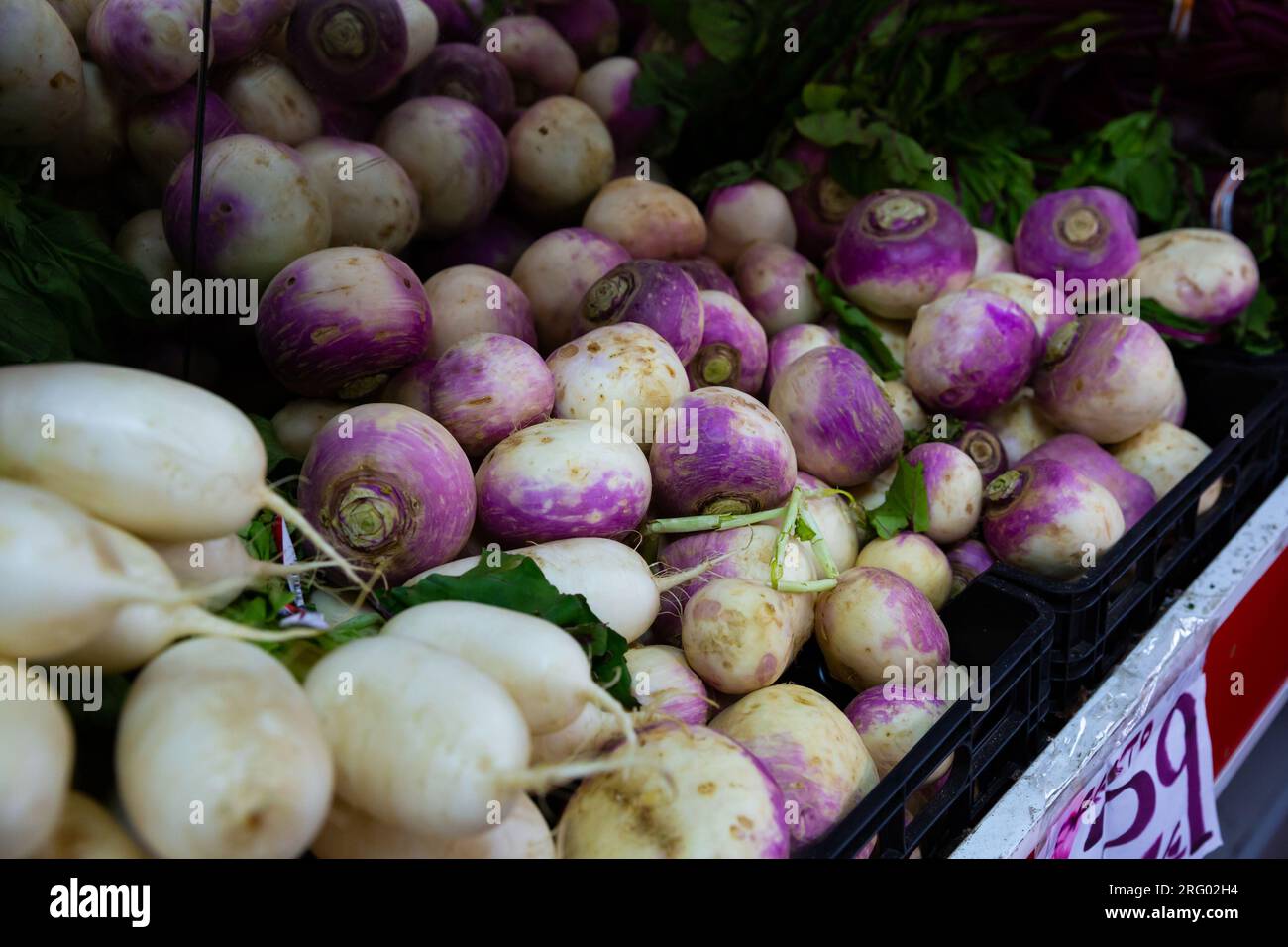 Pile of turnips at the farmers market Stock Photo - Alamy