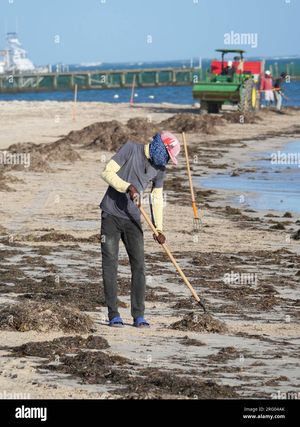 Sweeping a beach in the morning Stock Photo - Alamy