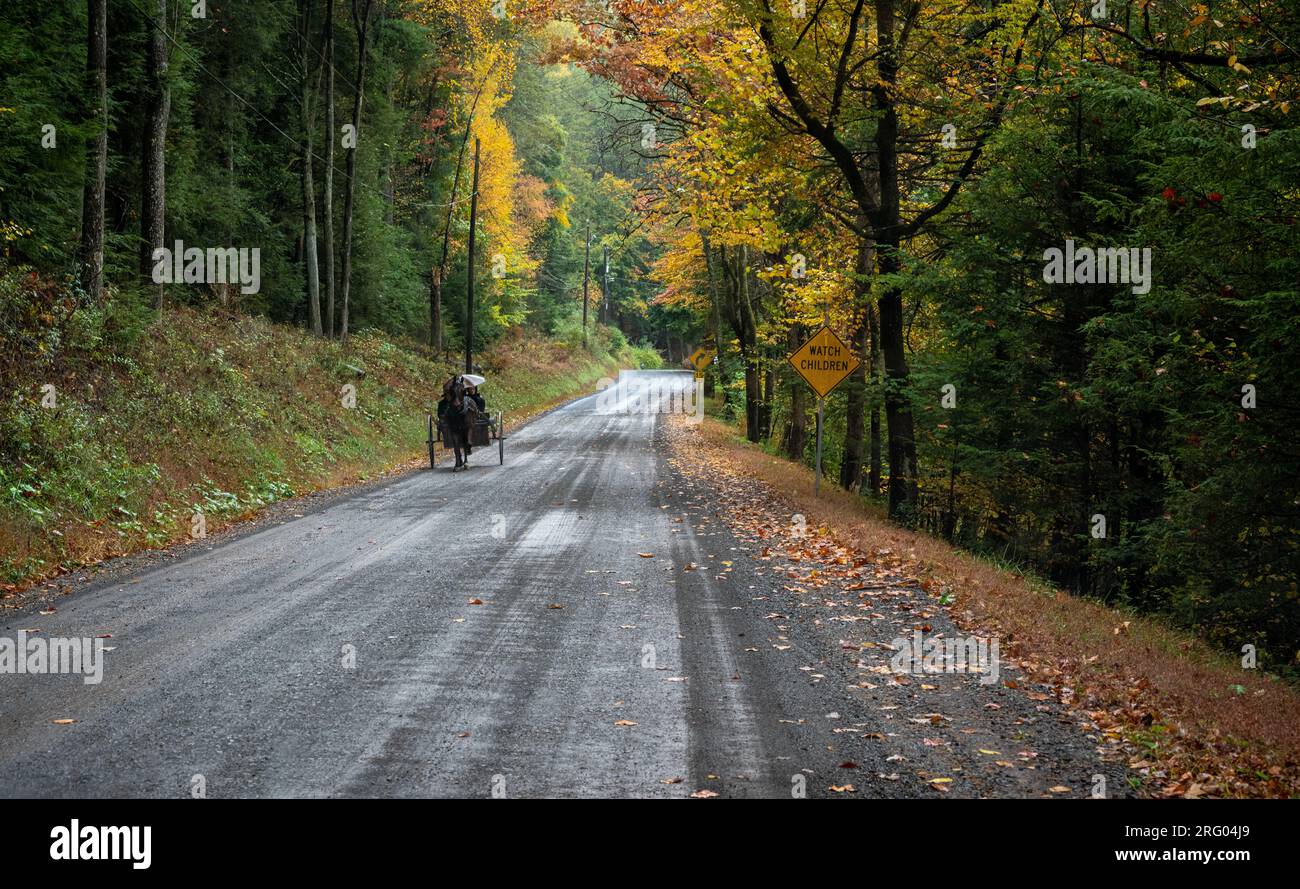 Amish horse carriage road hi-res stock photography and images - Alamy