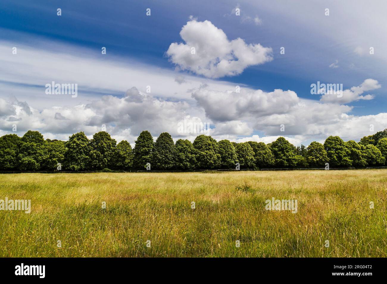 Slaughter trail, The Costwolds, England Stock Photo - Alamy