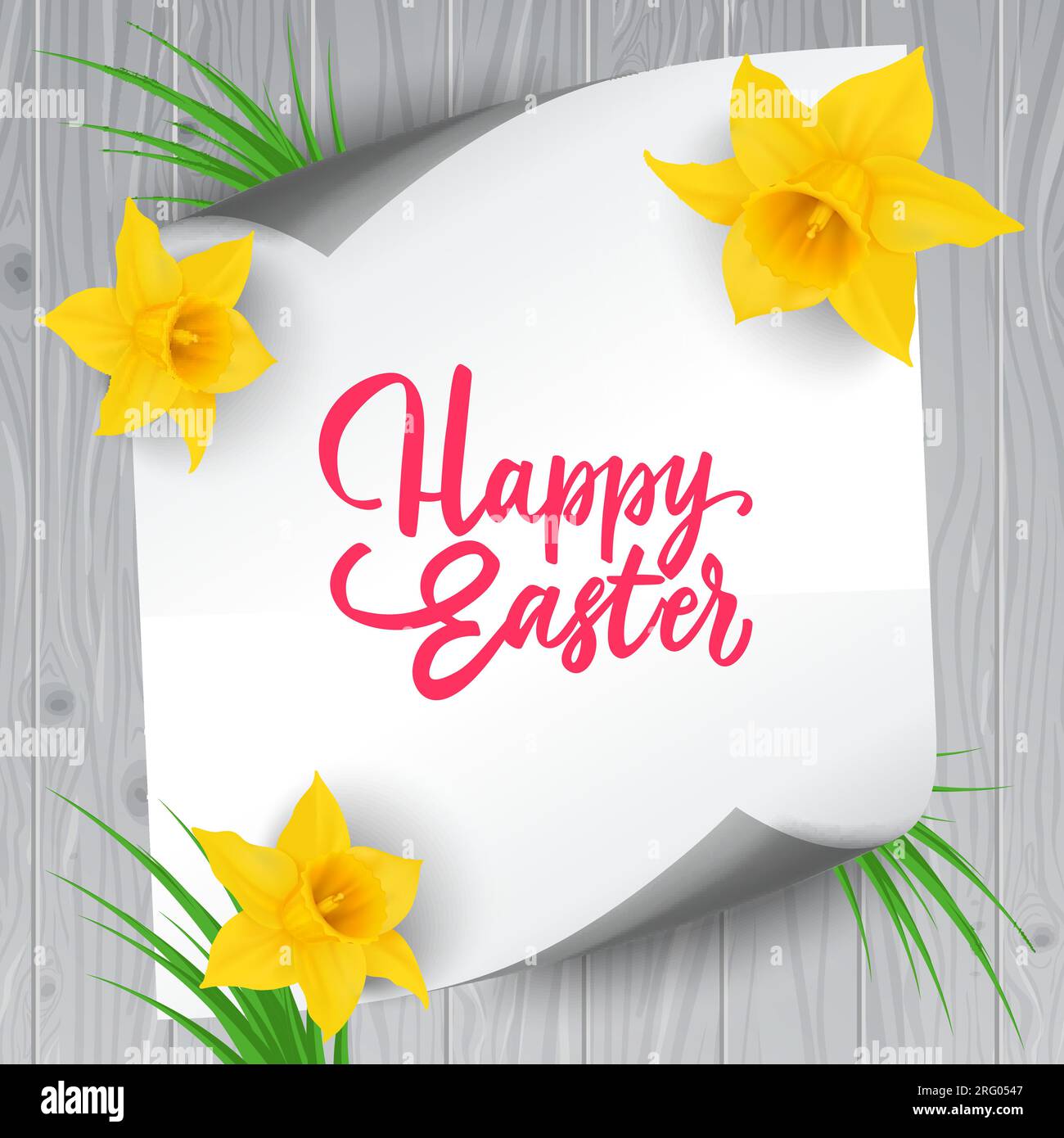 Paper white narcissus flower Stock Vector Images - Alamy
