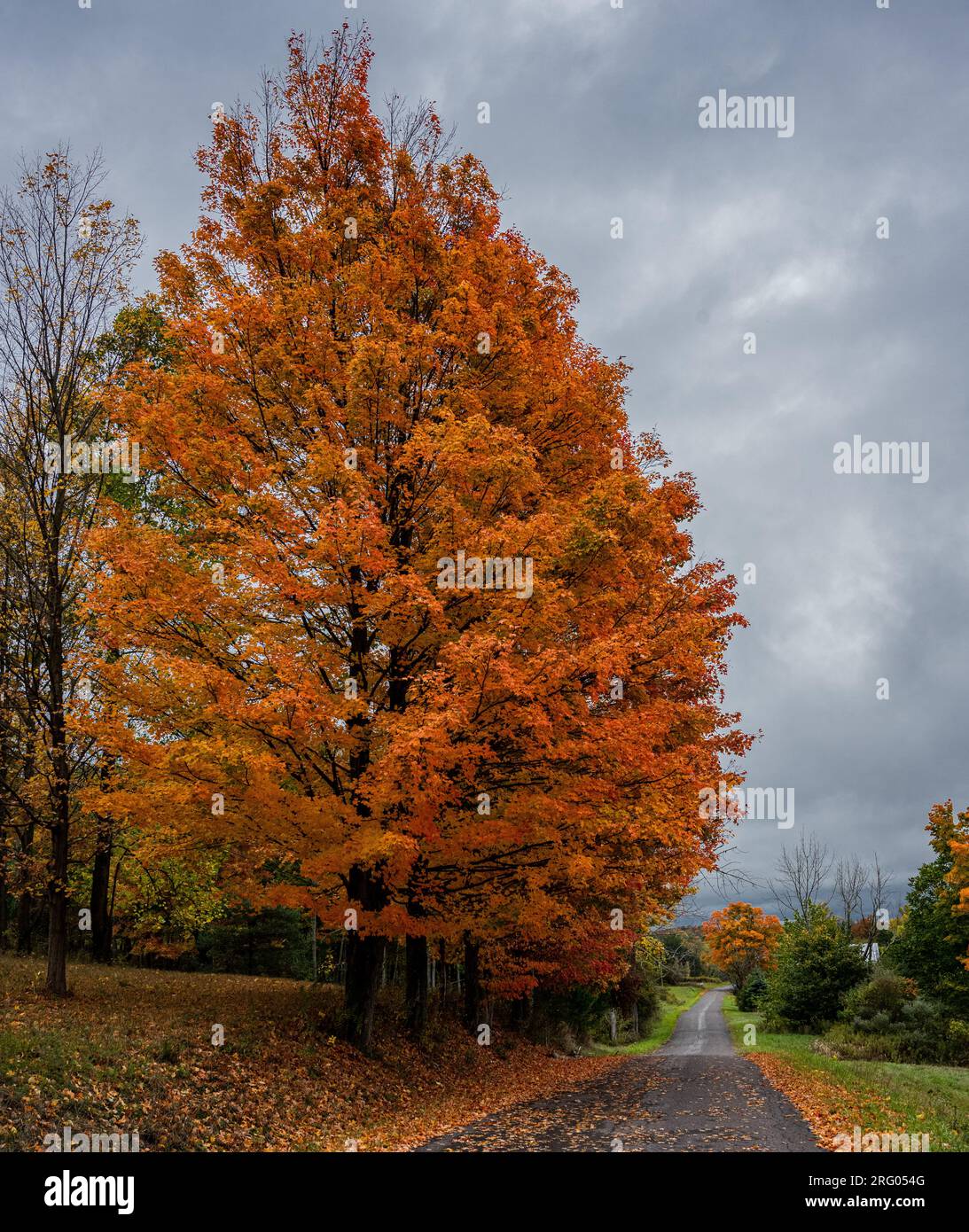 Fall country road Stock Photo - Alamy