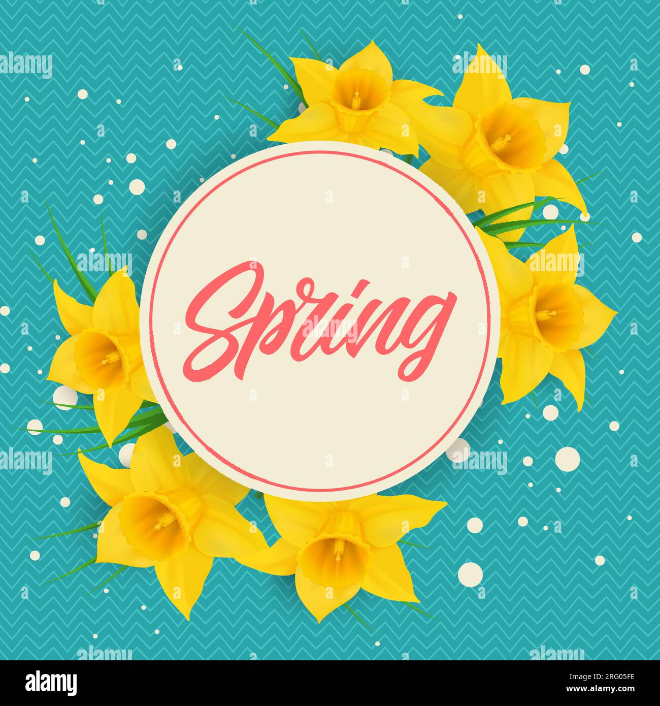 Spring Lettering in Circle and Daffodils Stock Vector Image & Art - Alamy