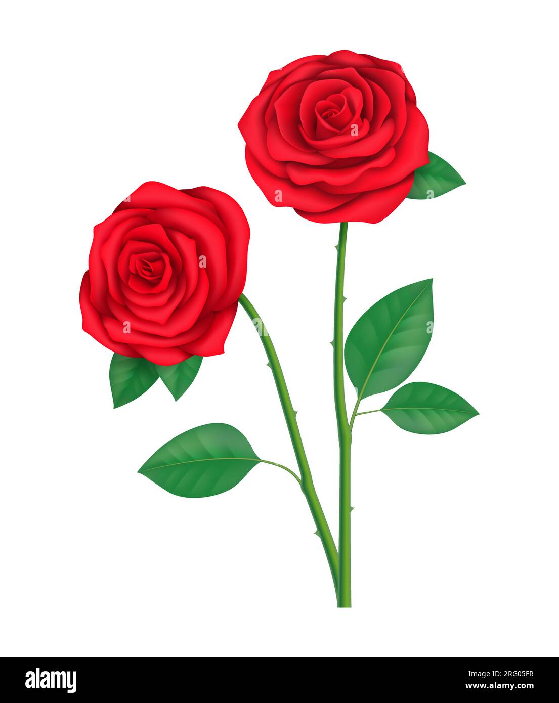 Woman with red roses bouquet Stock Vector Images - Alamy