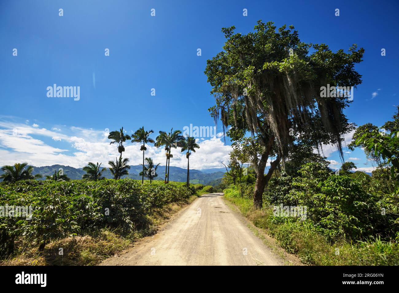 Rural road in the Colombia, South America Stock Photo - Alamy