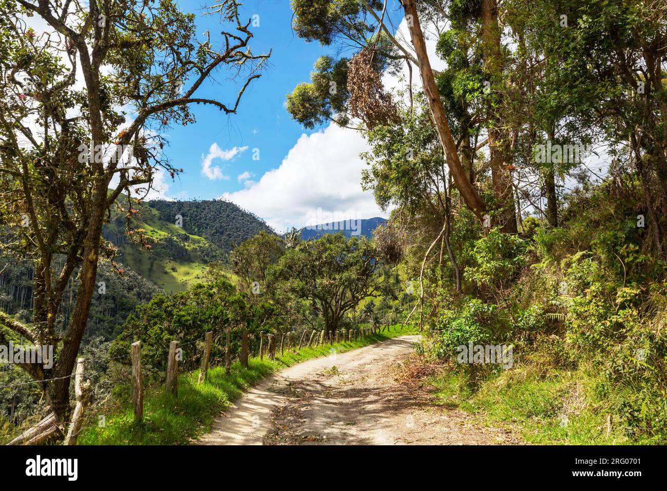 Colombia forest country road hi-res stock photography and images - Alamy