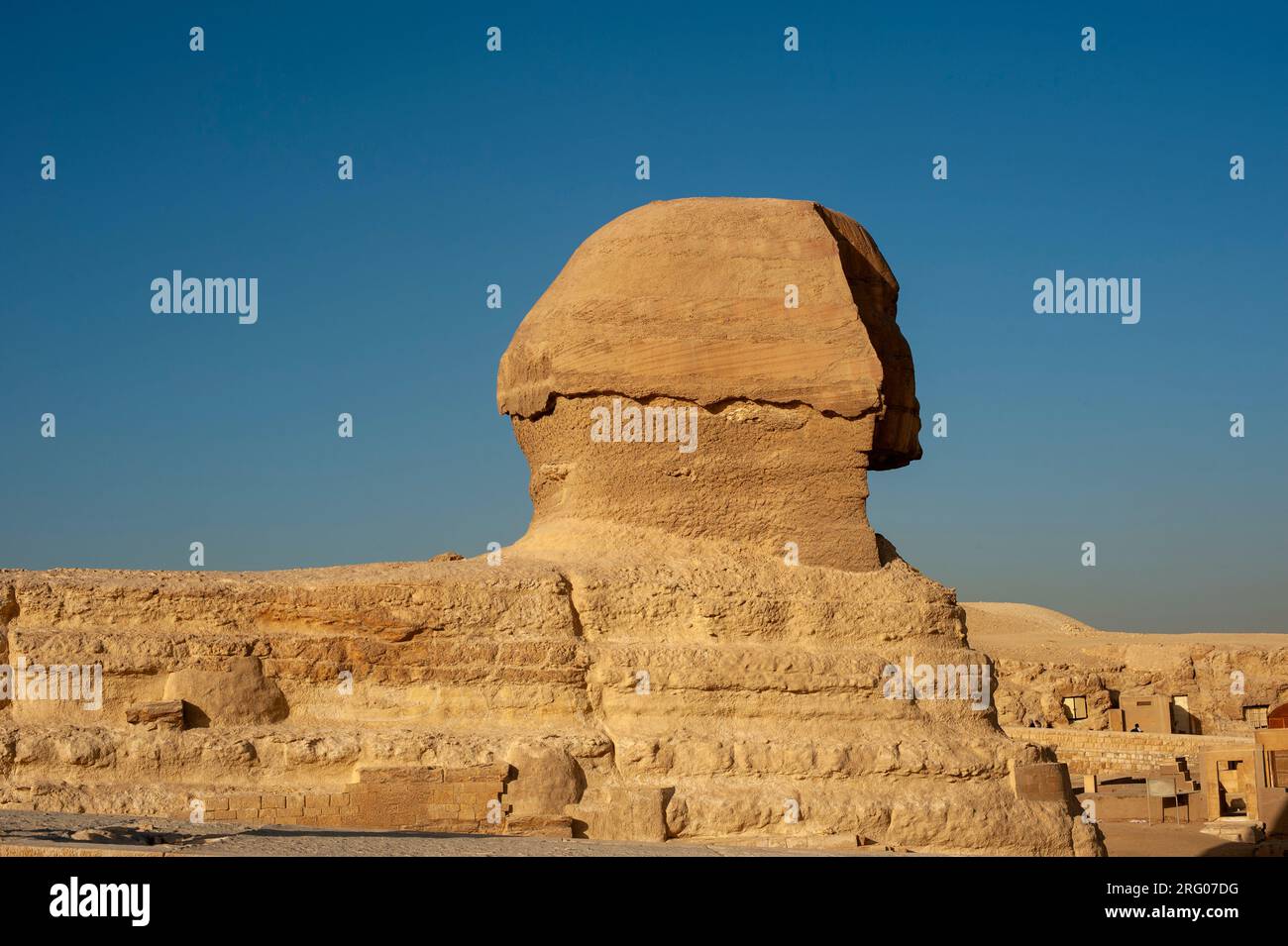 Africa, Egypt, Giza. Side view of the famous sphinx statue in Giza ...