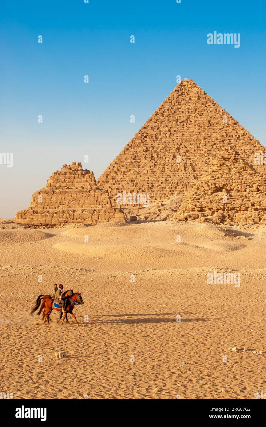 Africa, Egypt, Giza. Horses cast shadows in the desert at the pyramids ...