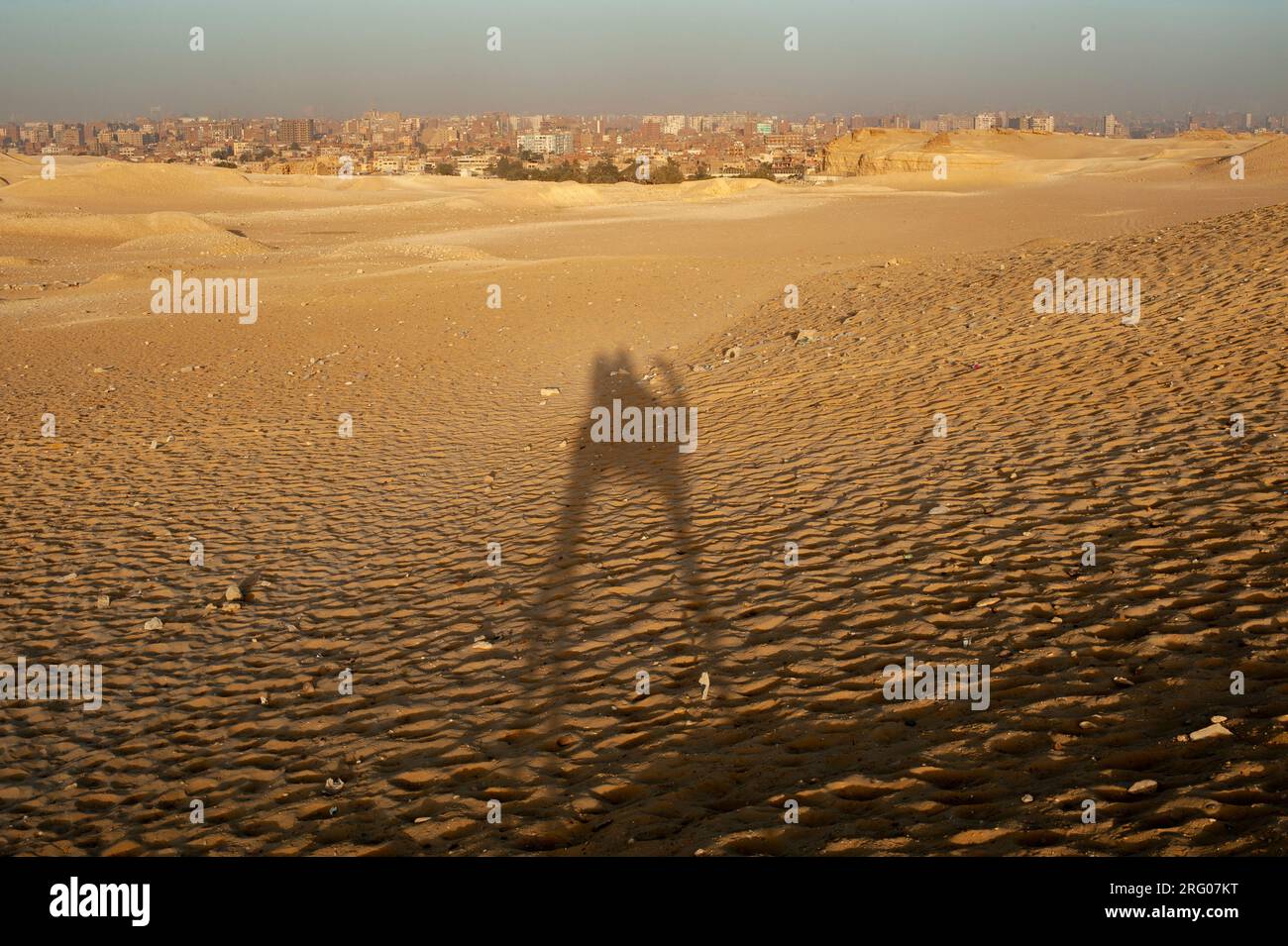 Africa, Egypt, Giza. A camel casts a shadow in the desert at the ...