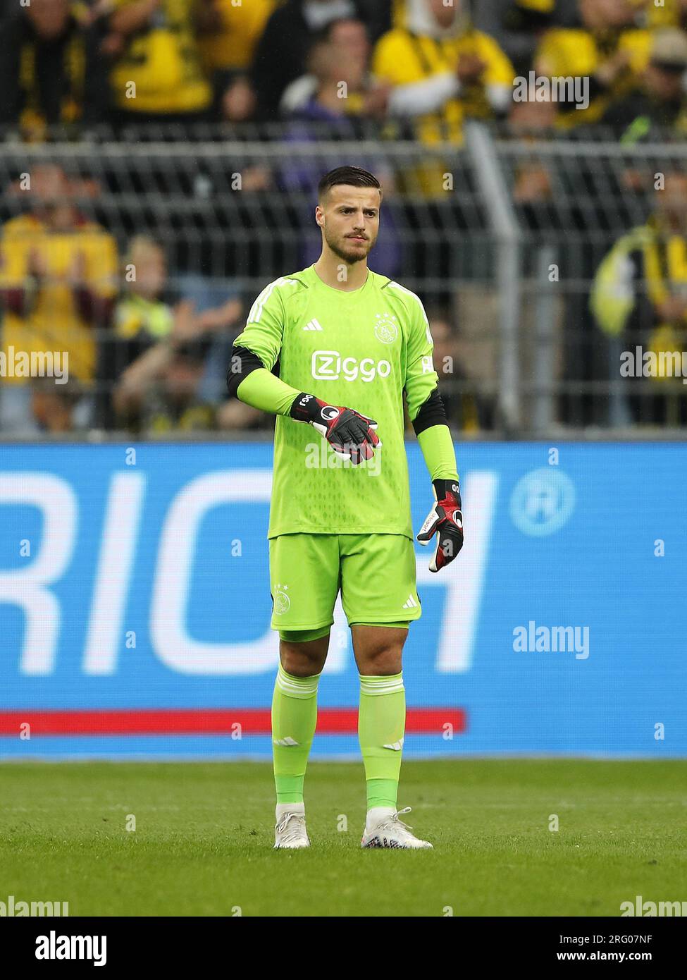 Diant ramaj hi-res stock photography and images - Alamy