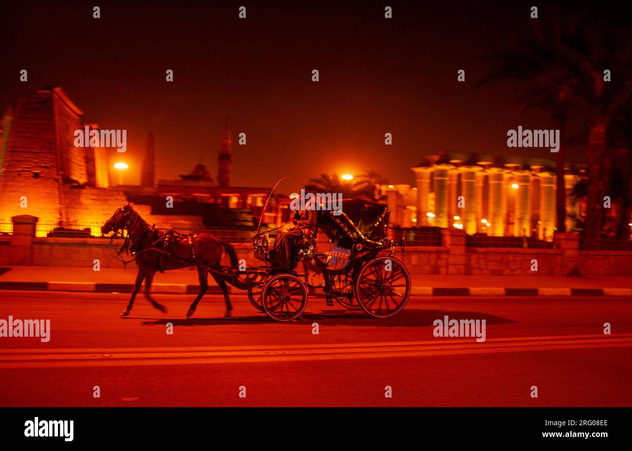 Africa, Egypt, Luxor. A horse and carriage trots in front of the Luxor ...