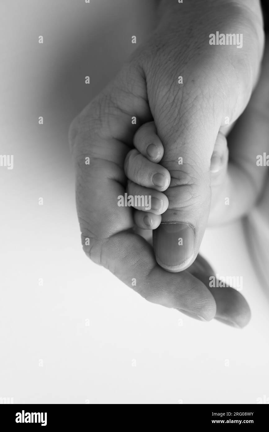 New Born Baby Hand Images Clipart