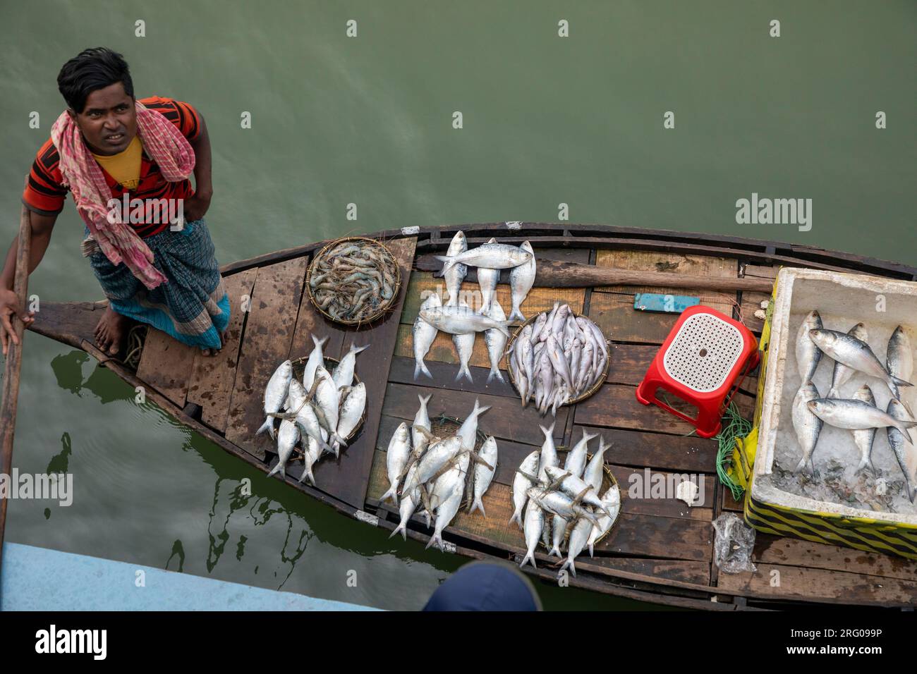 Bangladesh national fish hi-res stock photography and images - Alamy