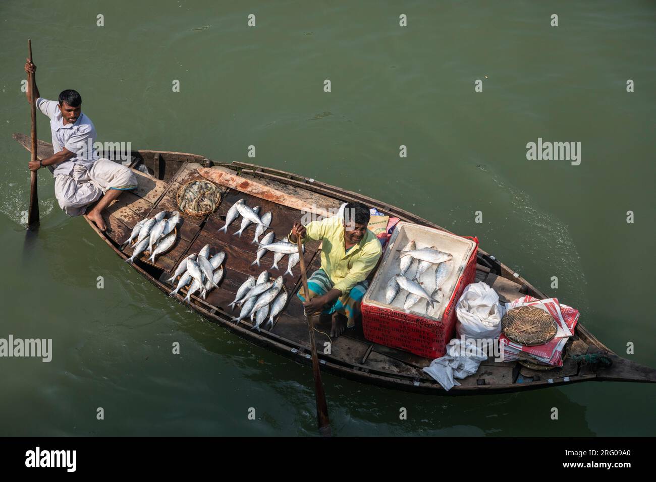 Traders selling Hilsa fish at the Chandpur Launch Terminal, using a ...
