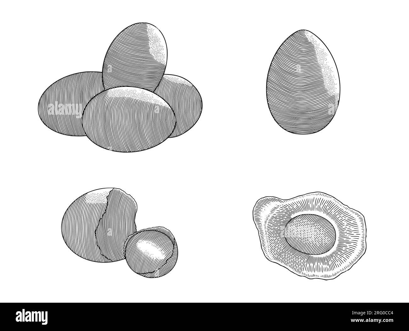 Chicken egg, scrambled, and crack, vintage engraving style drawing ...