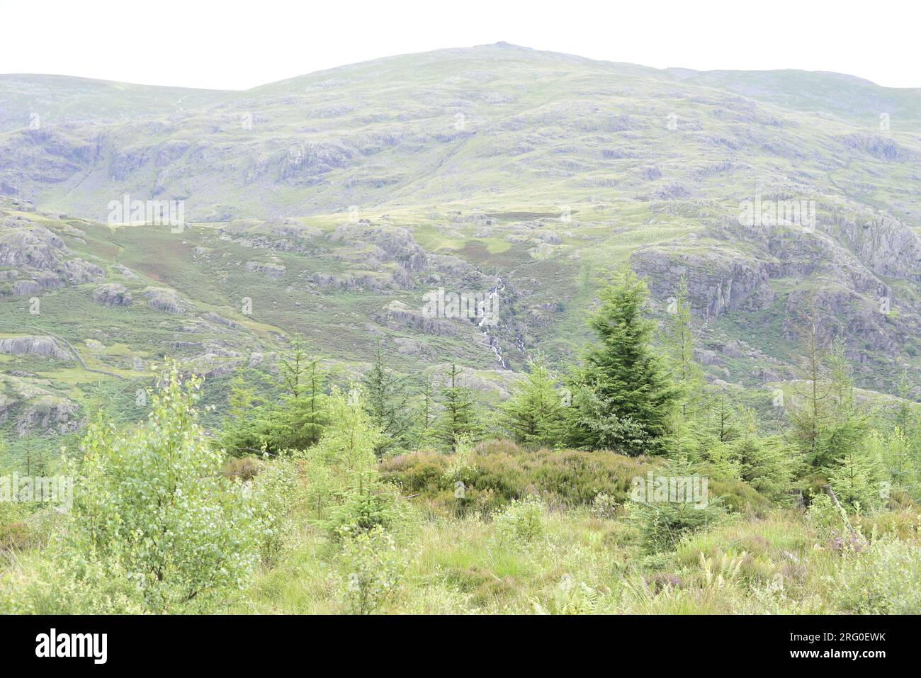 Hardknott forest hi-res stock photography and images - Alamy