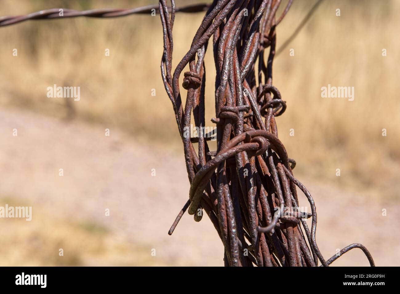Tangled fence wire hi-res stock photography and images - Alamy