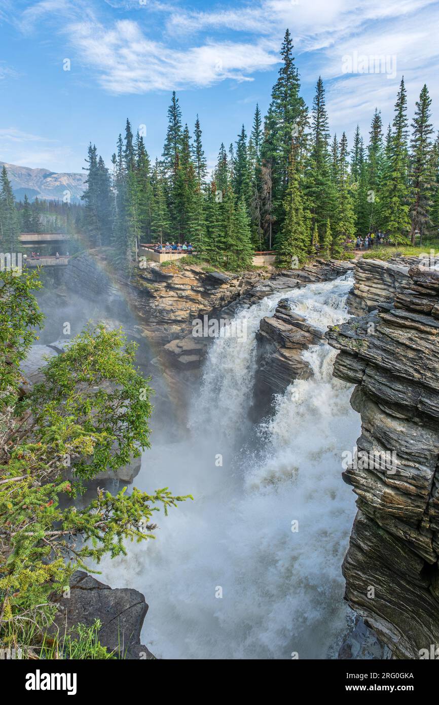 Athabasca Falls is one of the most popular attractions within Jasper ...