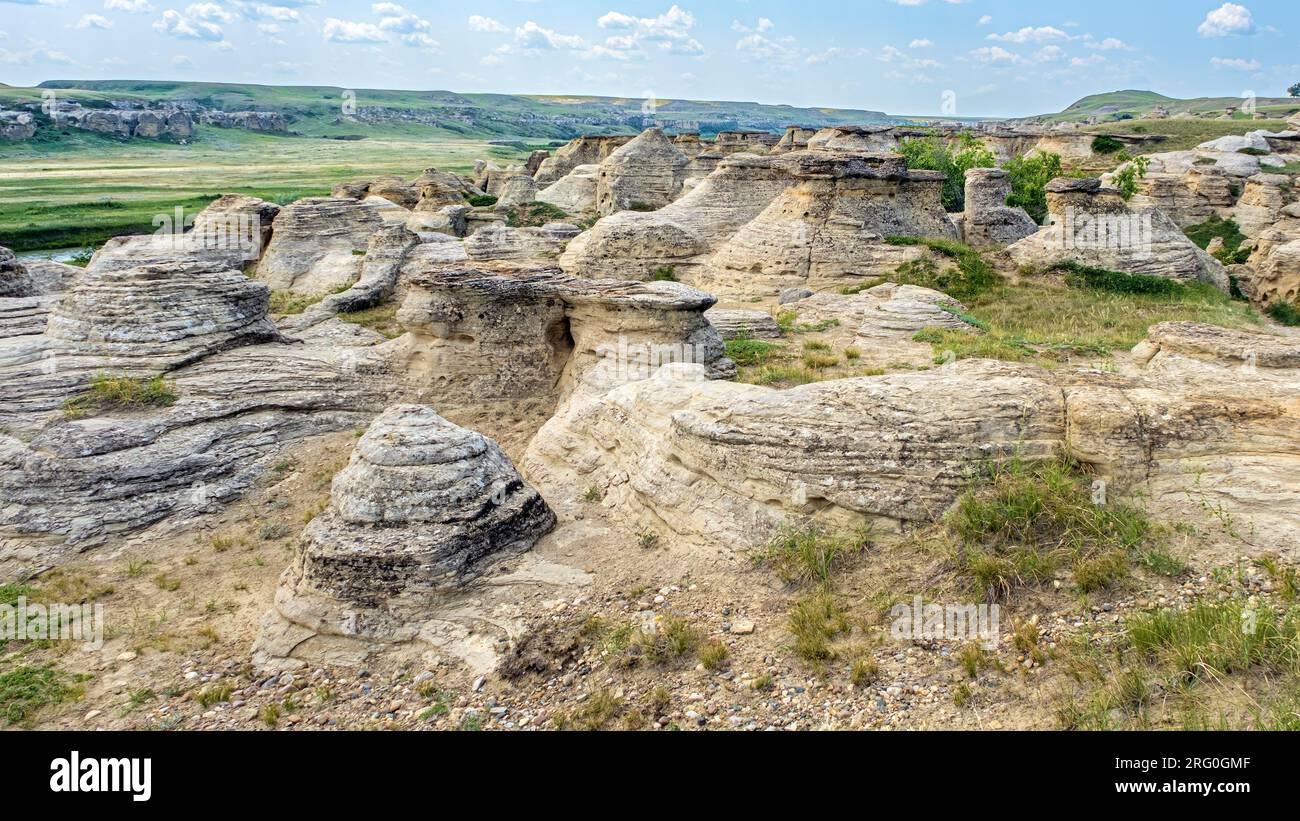 Located approximatel 100 kilometres from Lethbridge Alberta, Writing on ...
