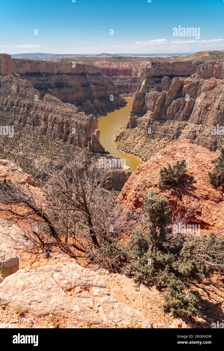 Yellowtail Canyon & Bighorn River from Devil Lookout are located in ...