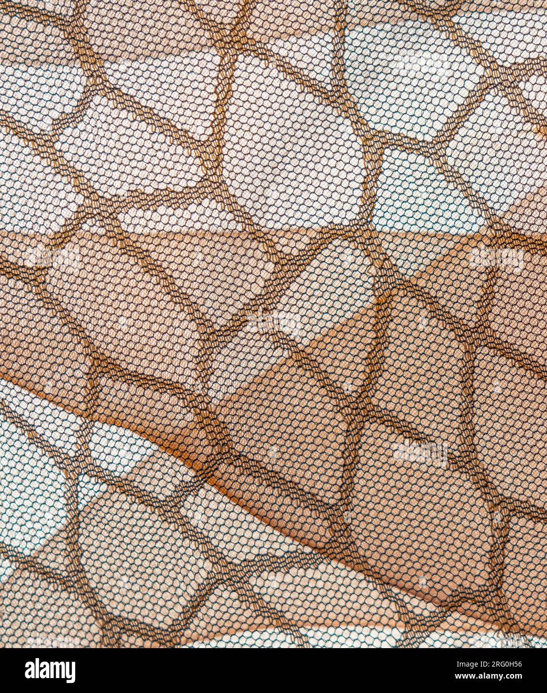 Backlit layers of tan fabric with screen shows cells, network, or ...
