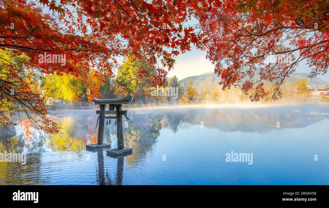 Yufuin, Japan - Nov 27 2022: Tenso-jinja shrine at lake Kinrin, is one ...