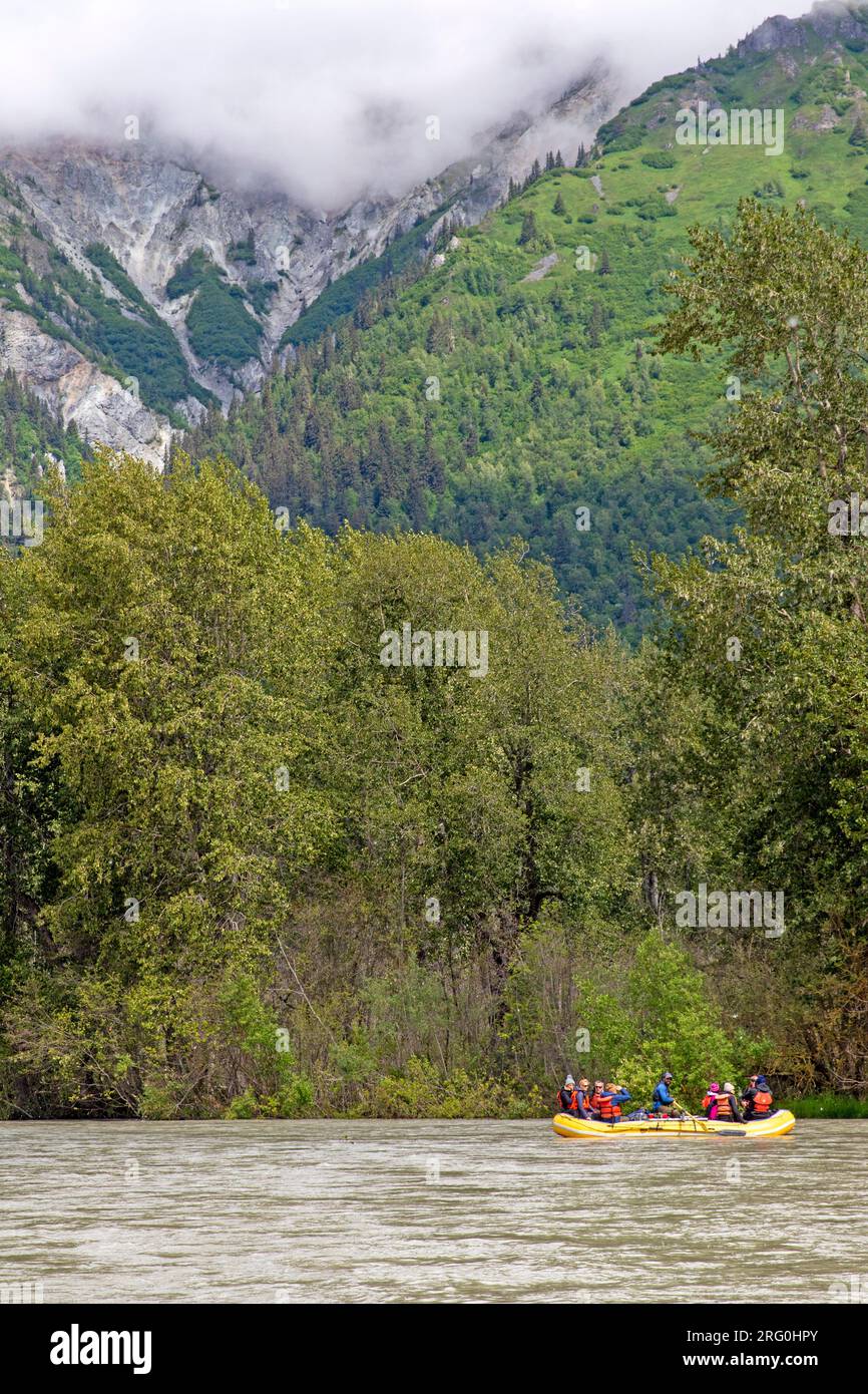 Chilkat bald eagle preserve hi-res stock photography and images - Alamy