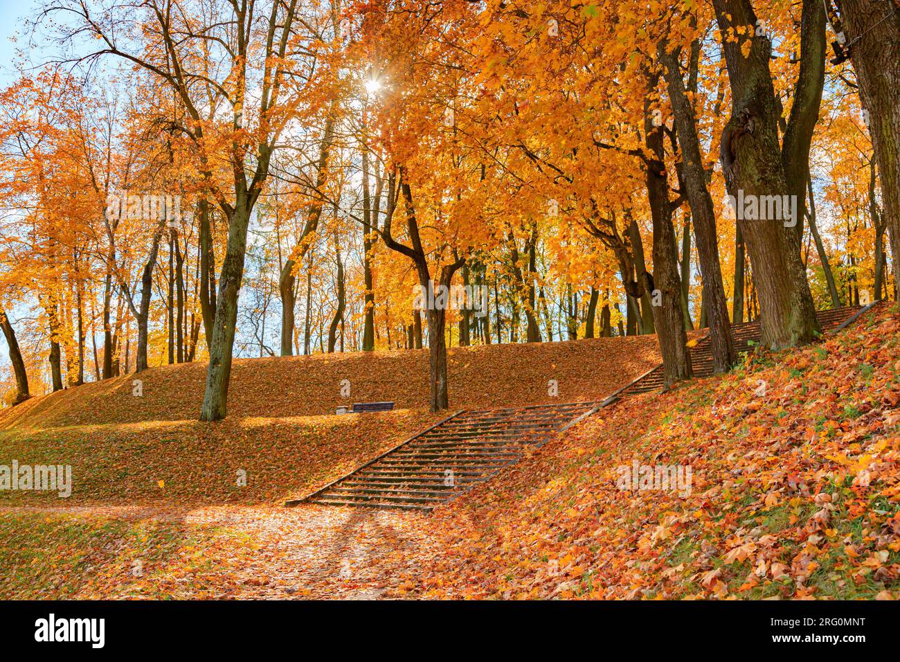 Autumn park landscape . Golden autumn in the city park. Photos on the ...