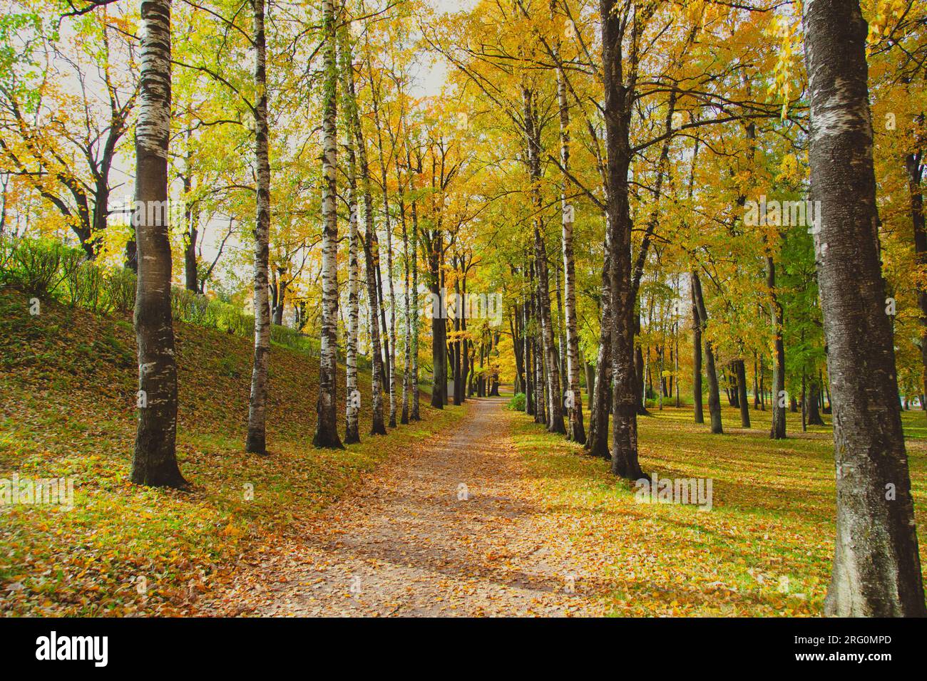 Autumn park landscape . Golden autumn in the city park. Photos on the ...