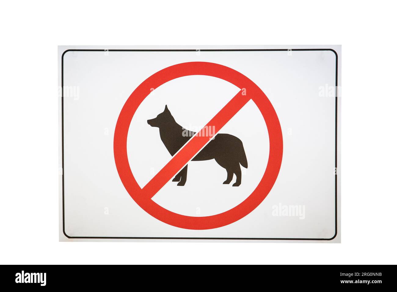No dogs or pets sign isolated on white background Stock Photo - Alamy