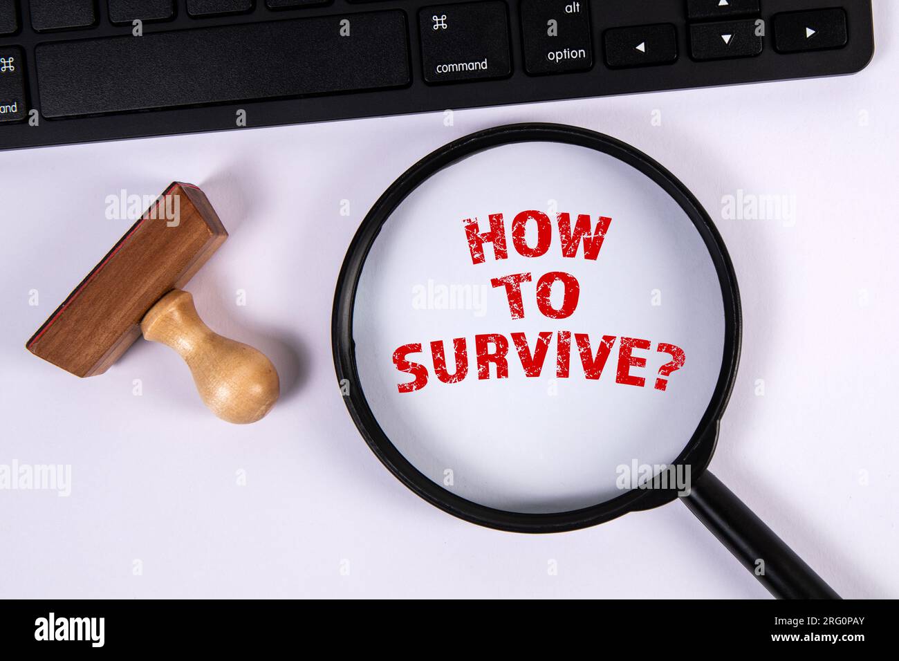 How To Survive. Search and research on the internet concept. Computer ...