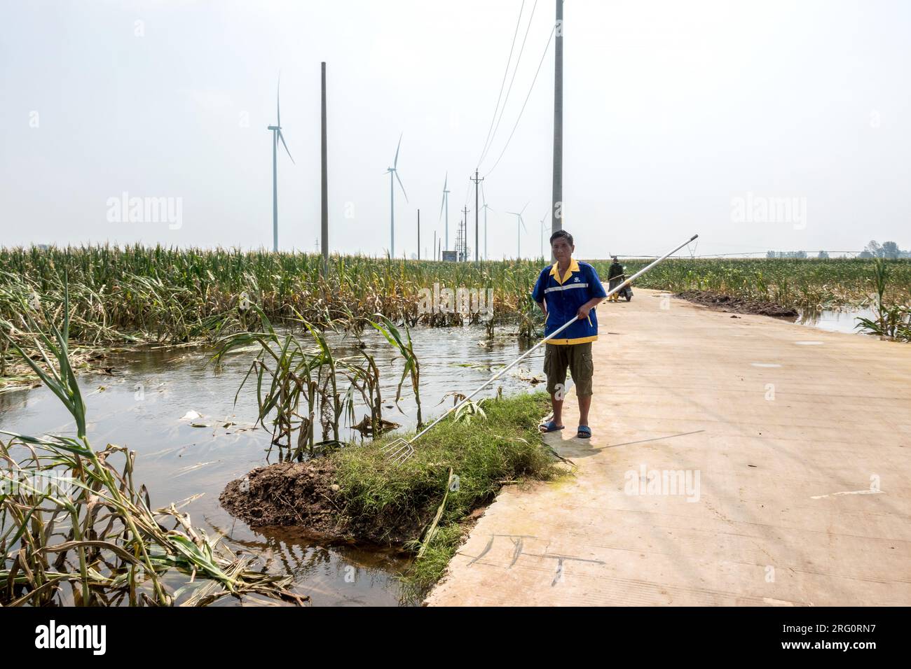 XINXIANG, CHINA - AUGUST 5, 2023 - Farmers fish in a flooded corn field ...