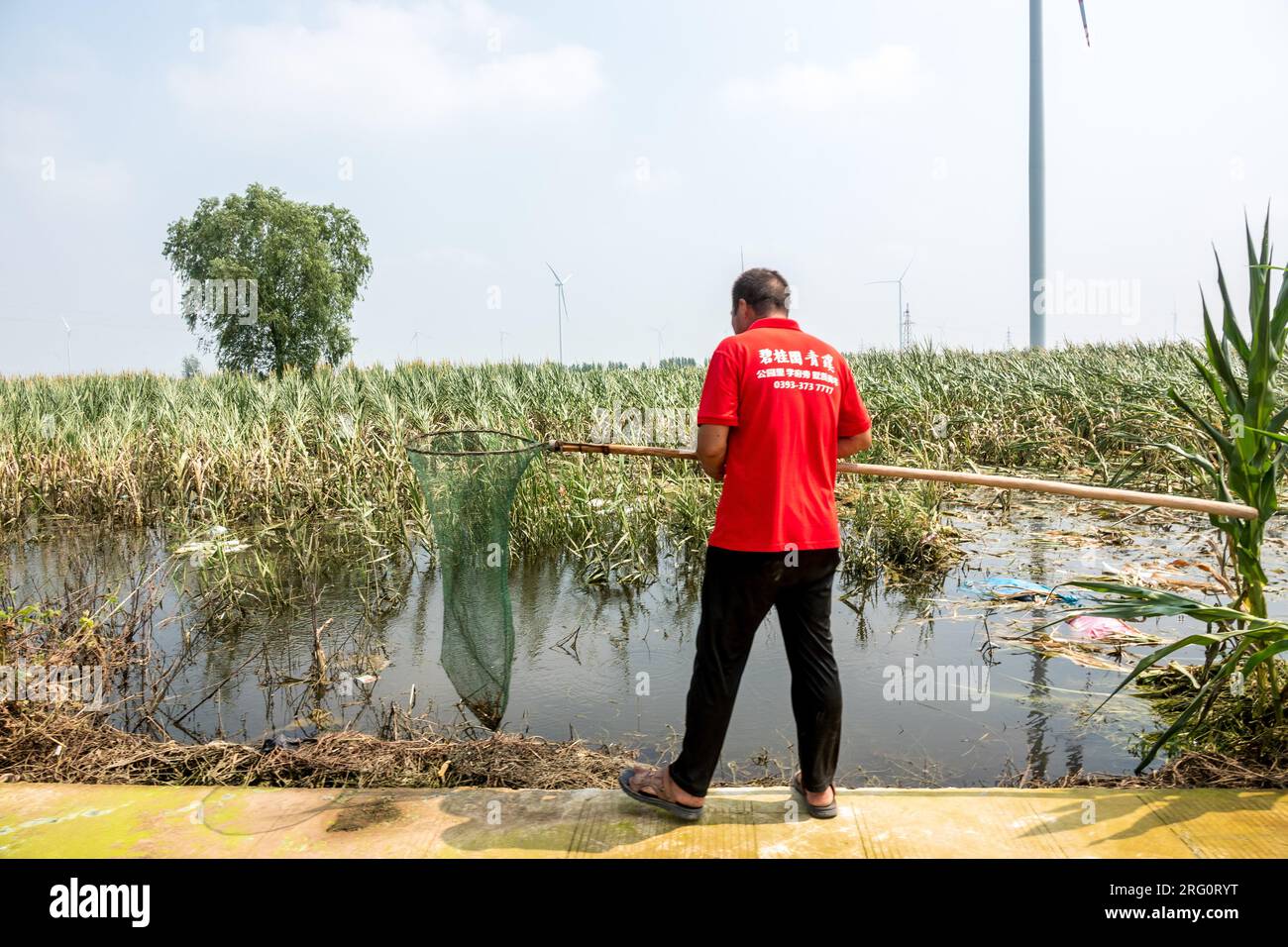Xinxiang, China. 07th Aug, 2023. XINXIANG, CHINA - AUGUST 5, 2023 ...