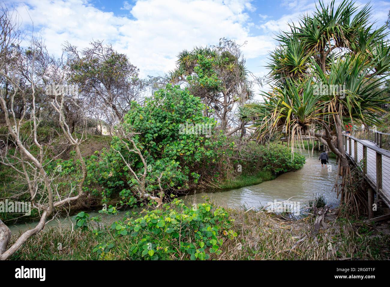 Fraser Island K'gari, Eli creek on 75 mile beach a popular tourist ...