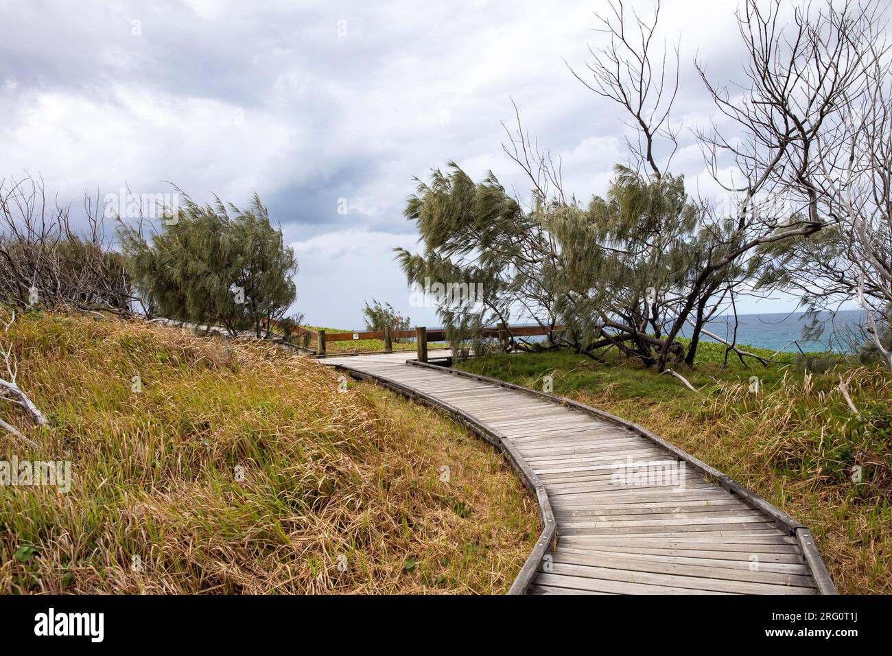 Fraser Island K'gari, timber boardwalk to the Champagne pools located ...